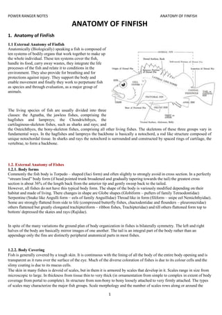 anatomy of finfish ecourse fisheries.docx