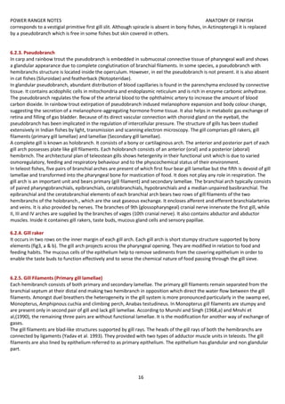anatomy of finfish ecourse fisheries.docx