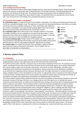 anatomy of finfish ecourse fisheries.docx