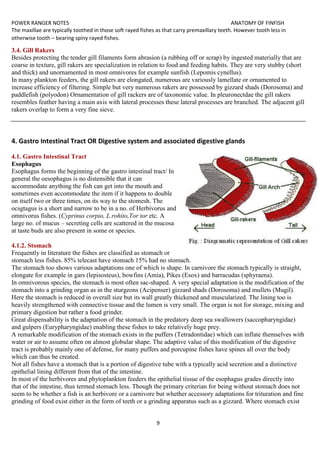 anatomy of finfish ecourse fisheries.docx
