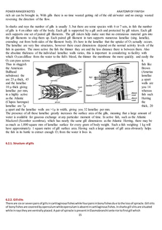 Anatomy of Finfish 2nd sem (full syllabus) | DOCX