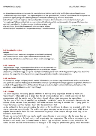 Anatomy of Finfish 2nd sem (full syllabus) | DOCX