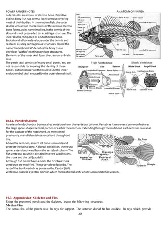 Anatomy of Finfish 2nd sem (full syllabus) | DOCX