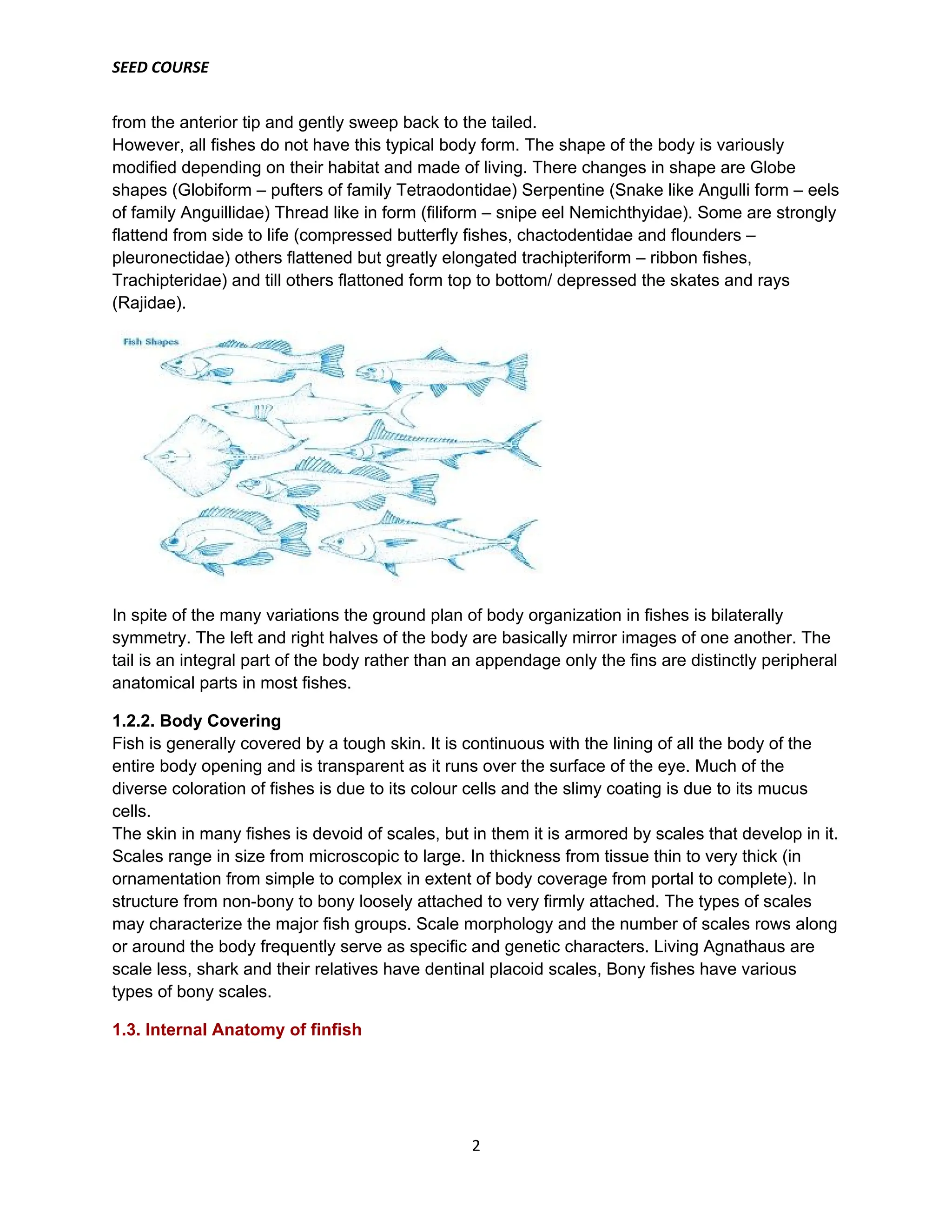 Anatomy of Fin Fish and Shellfish - COFS Jabalpur | PDF