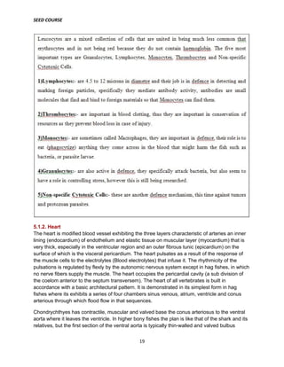 Anatomy of Fin Fish and Shellfish - COFS Jabalpur | PDF