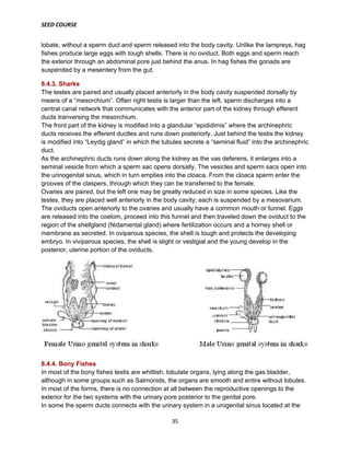 Anatomy of Fin Fish and Shellfish - COFS Jabalpur | PDF