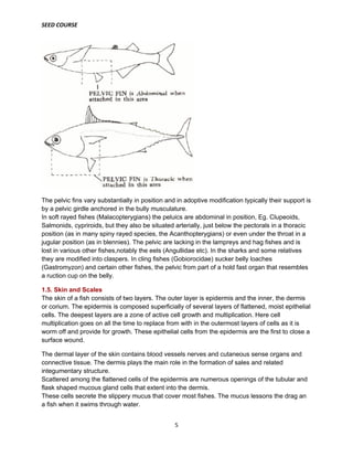 Anatomy of Fin Fish and Shellfish - COFS Jabalpur | PDF
