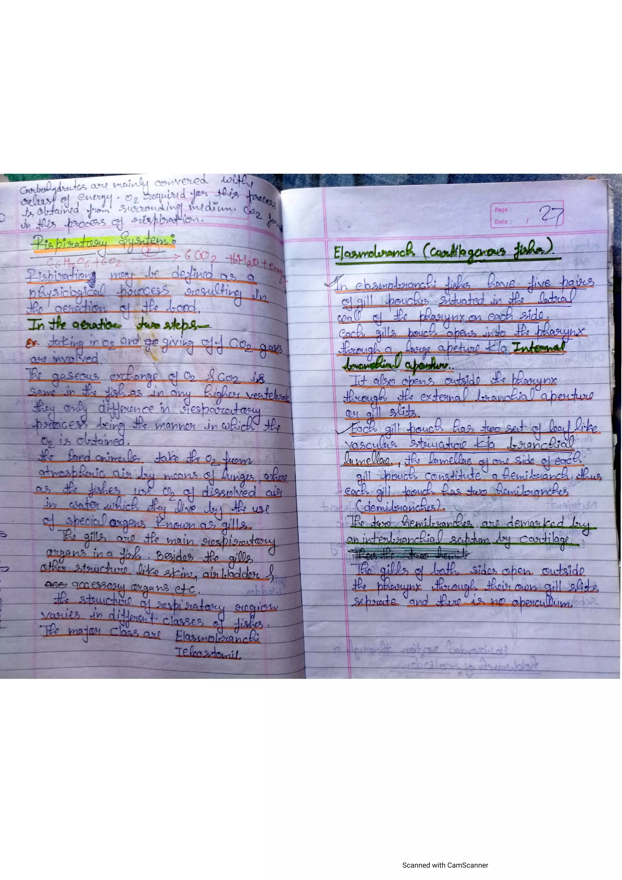 Anatomy of fin fish $ shell fish by Ashish sahu | PDF