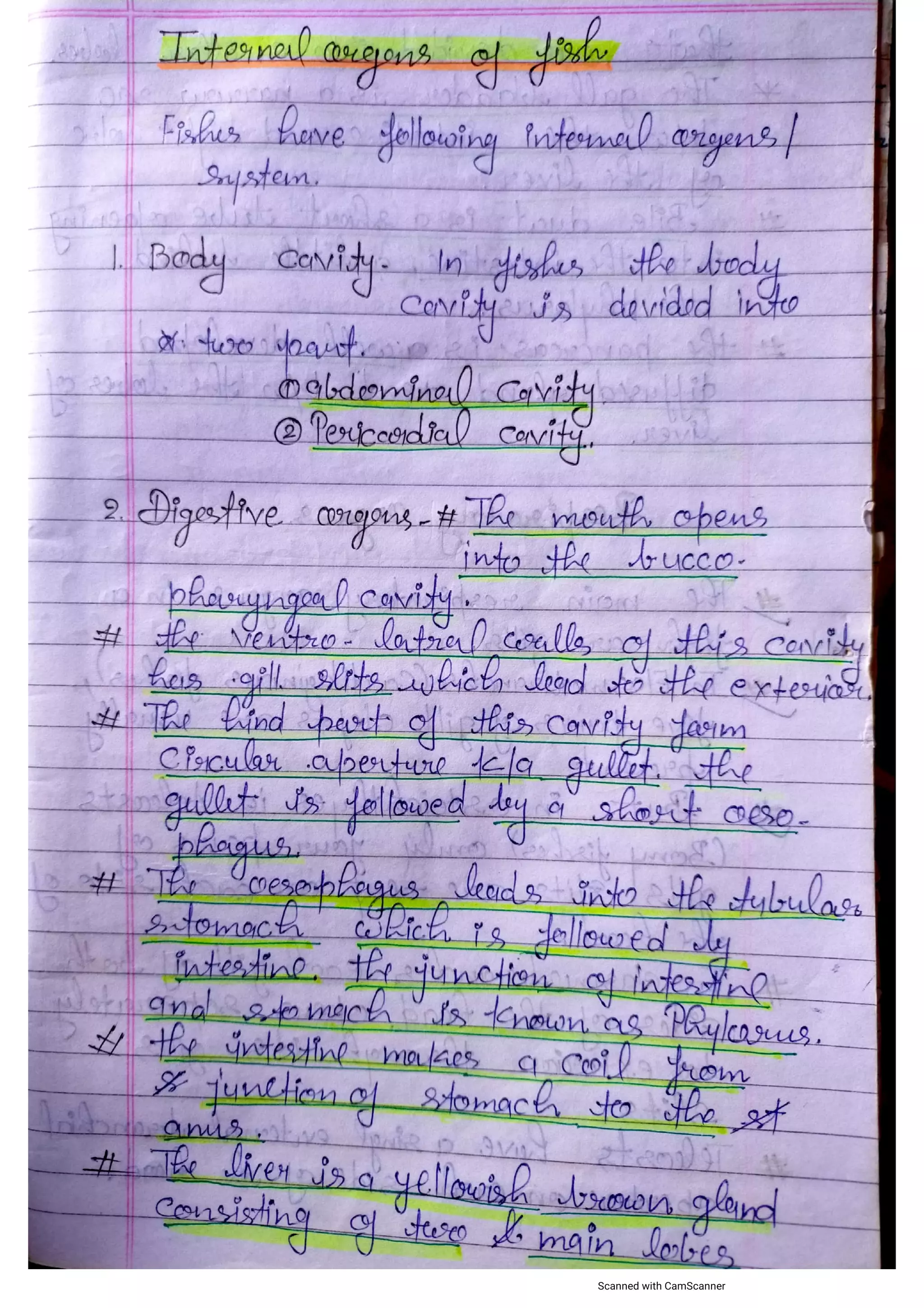 Anatomy of fin fish $ shell fish by Ashish sahu | PDF