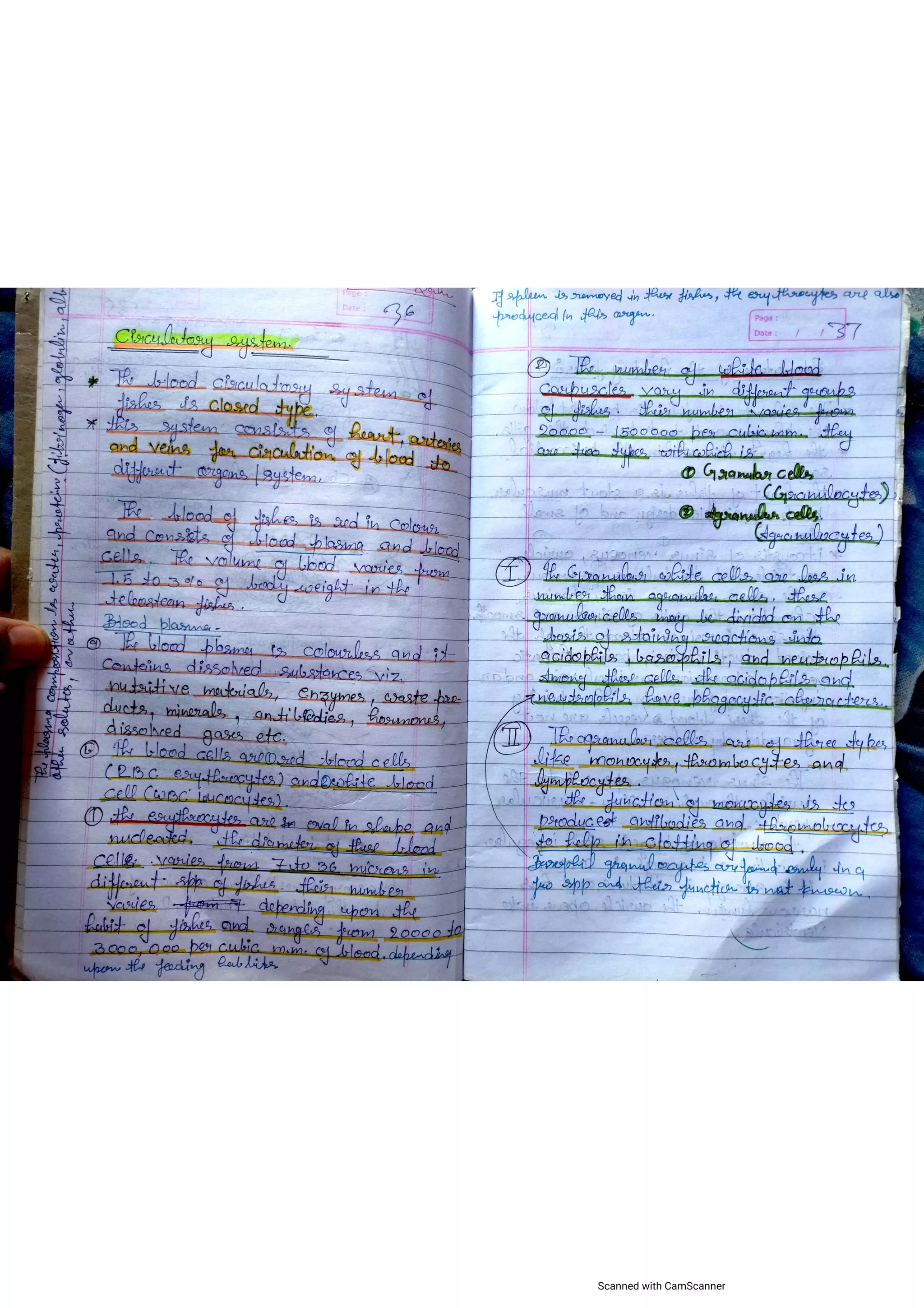 Anatomy of fin fish $ shell fish by Ashish sahu | PDF