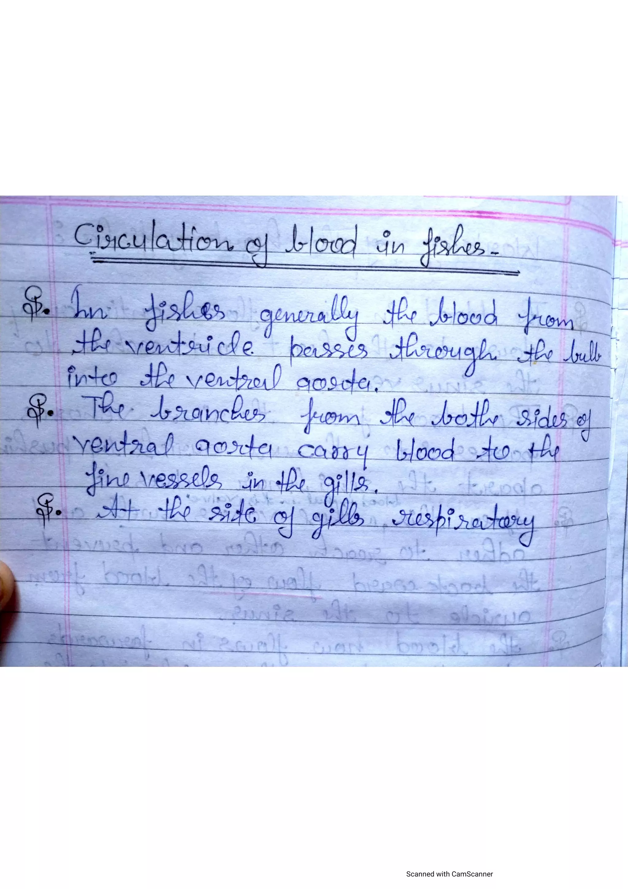 Anatomy of fin fish $ shell fish by Ashish sahu | PDF