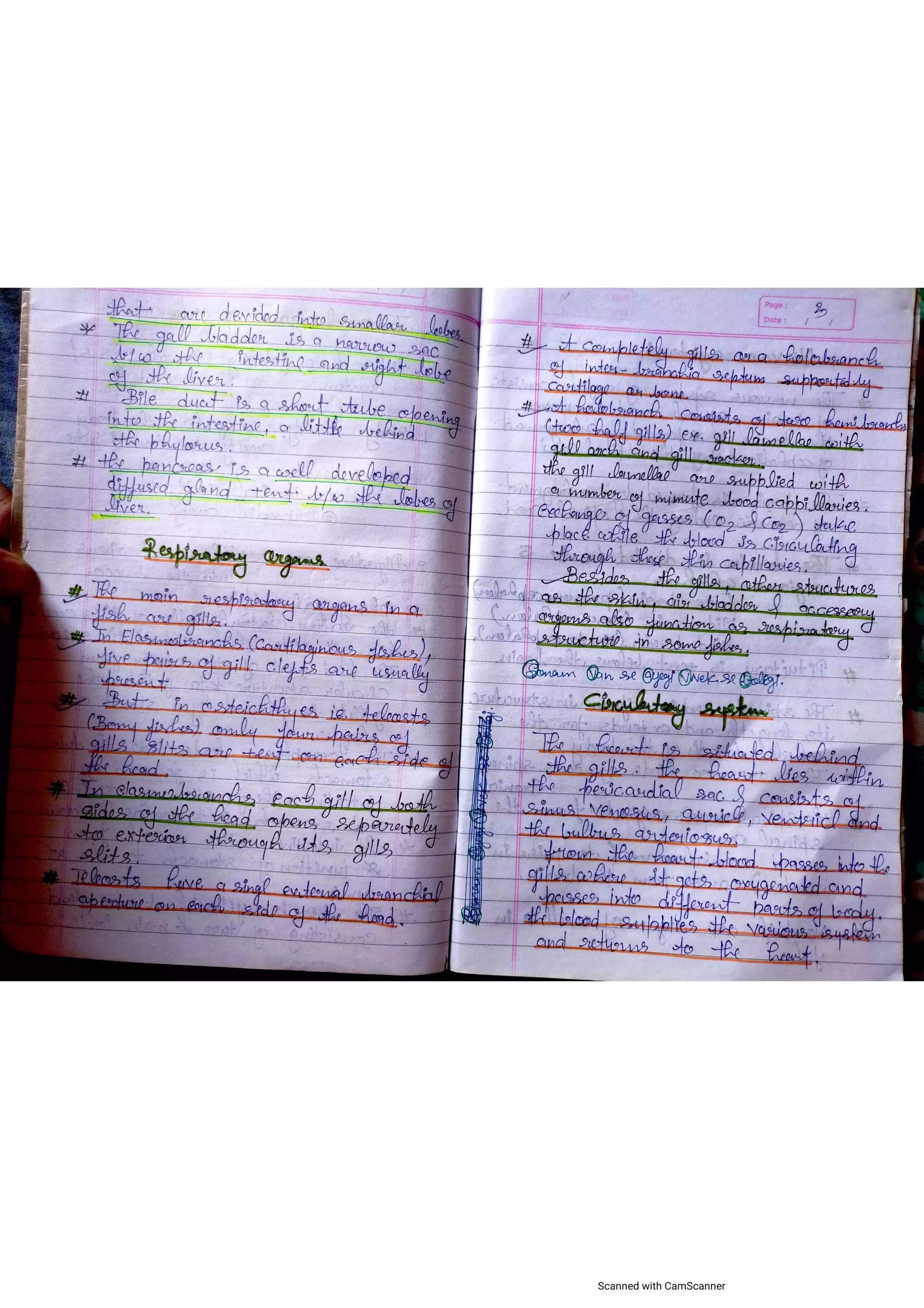 Anatomy of fin fish $ shell fish by Ashish sahu | PDF