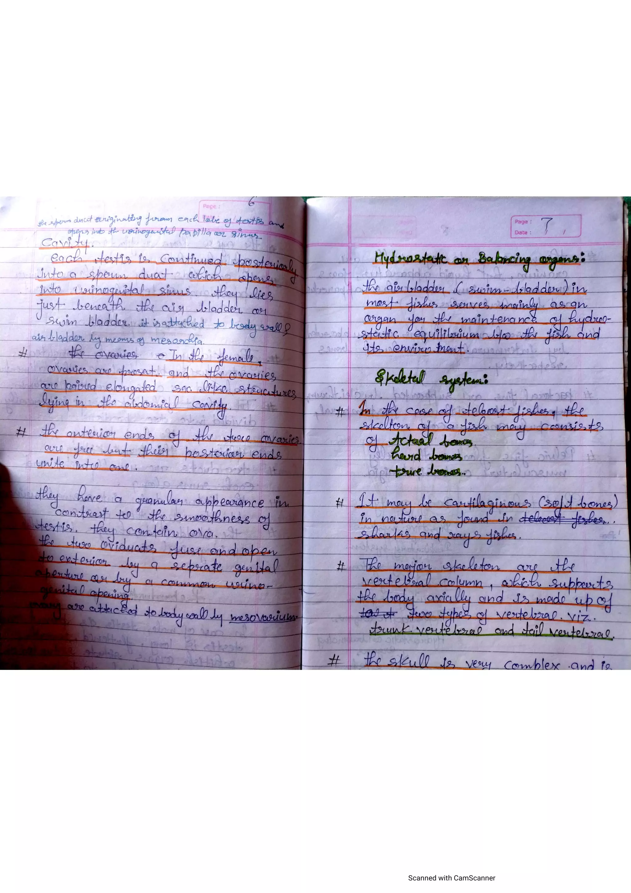 Anatomy of fin fish $ shell fish by Ashish sahu | PDF