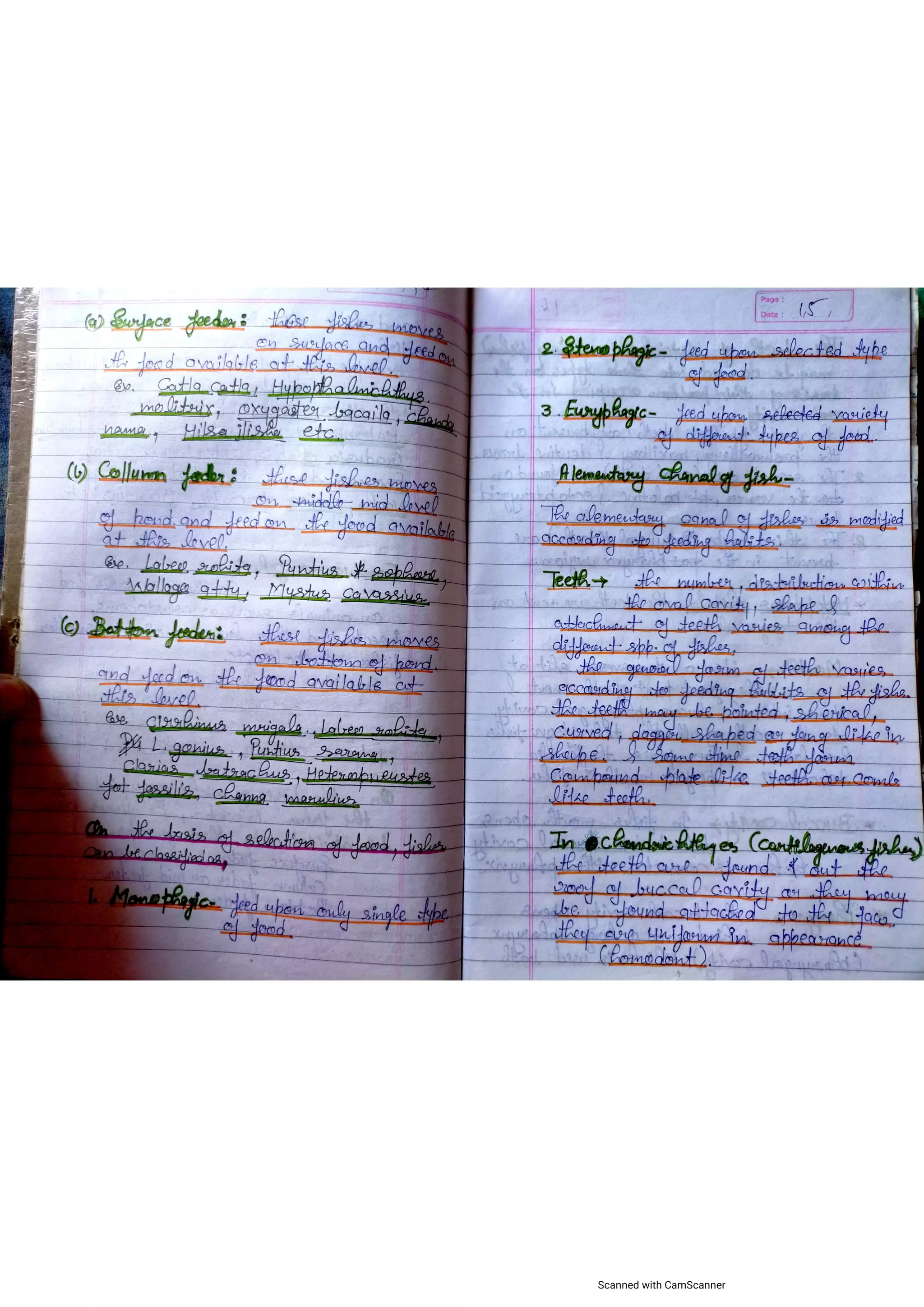 Anatomy of fin fish $ shell fish by Ashish sahu | PDF