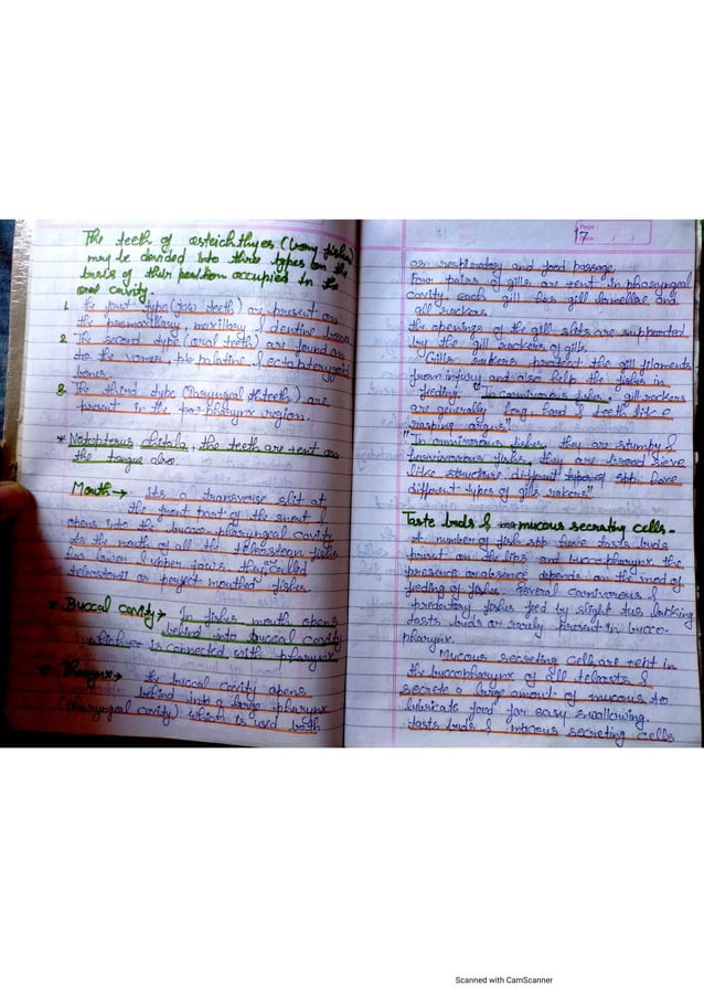 Anatomy of fin fish $ shell fish by Ashish sahu | PDF