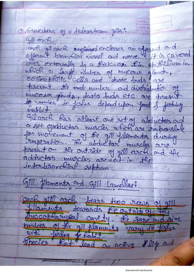 Anatomy of fin fish $ shell fish by Ashish sahu | PDF