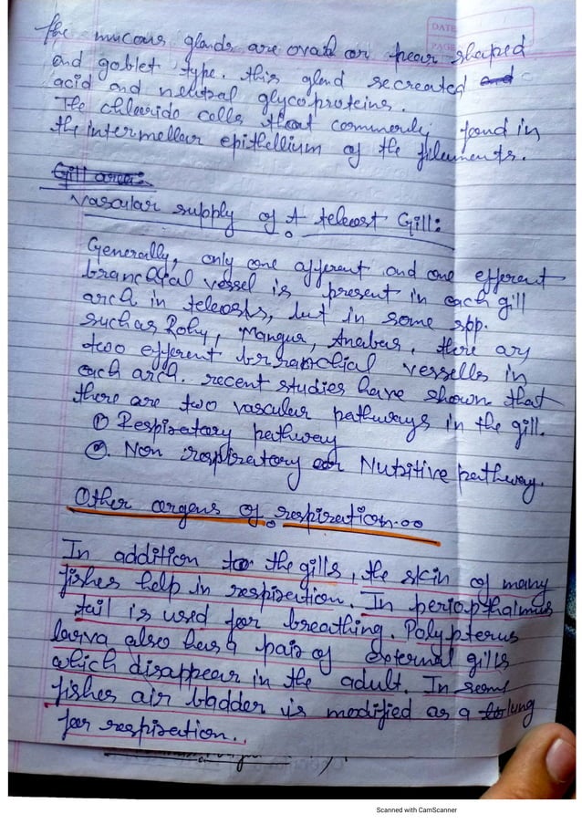 Anatomy of fin fish $ shell fish by Ashish sahu | PDF