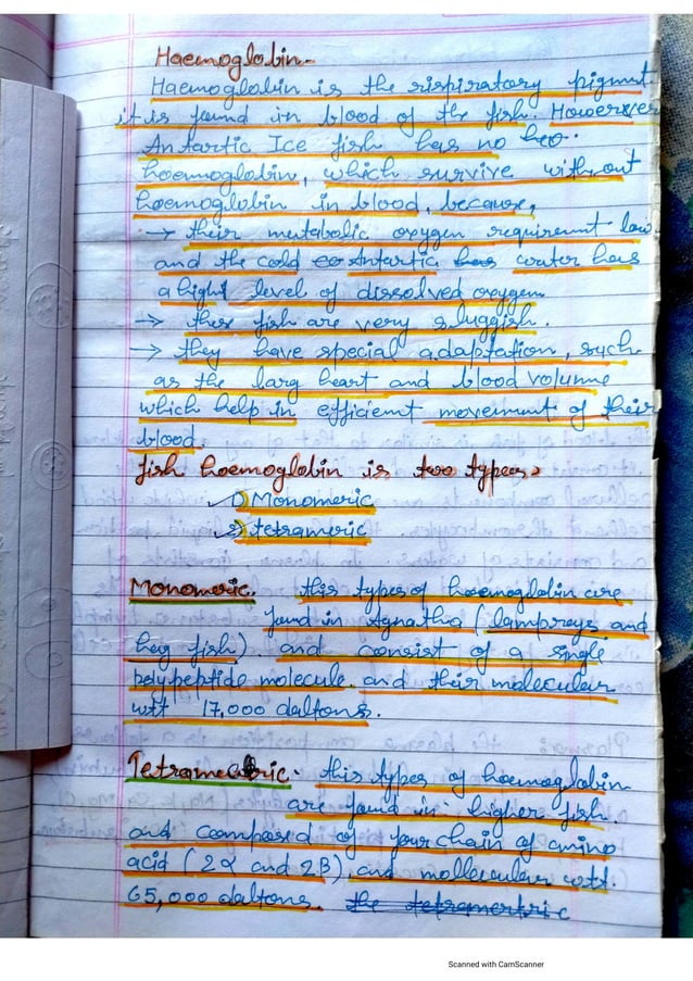 Anatomy of fin fish $ shell fish by Ashish sahu | PDF