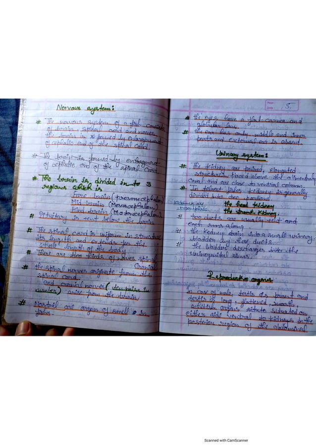 Anatomy of fin fish $ shell fish by Ashish sahu | PDF