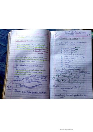 Anatomy of fin fish $ shell fish by Ashish sahu | PDF