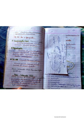 Anatomy of fin fish $ shell fish by Ashish sahu | PDF