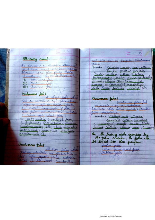 Anatomy of fin fish $ shell fish by Ashish sahu | PDF