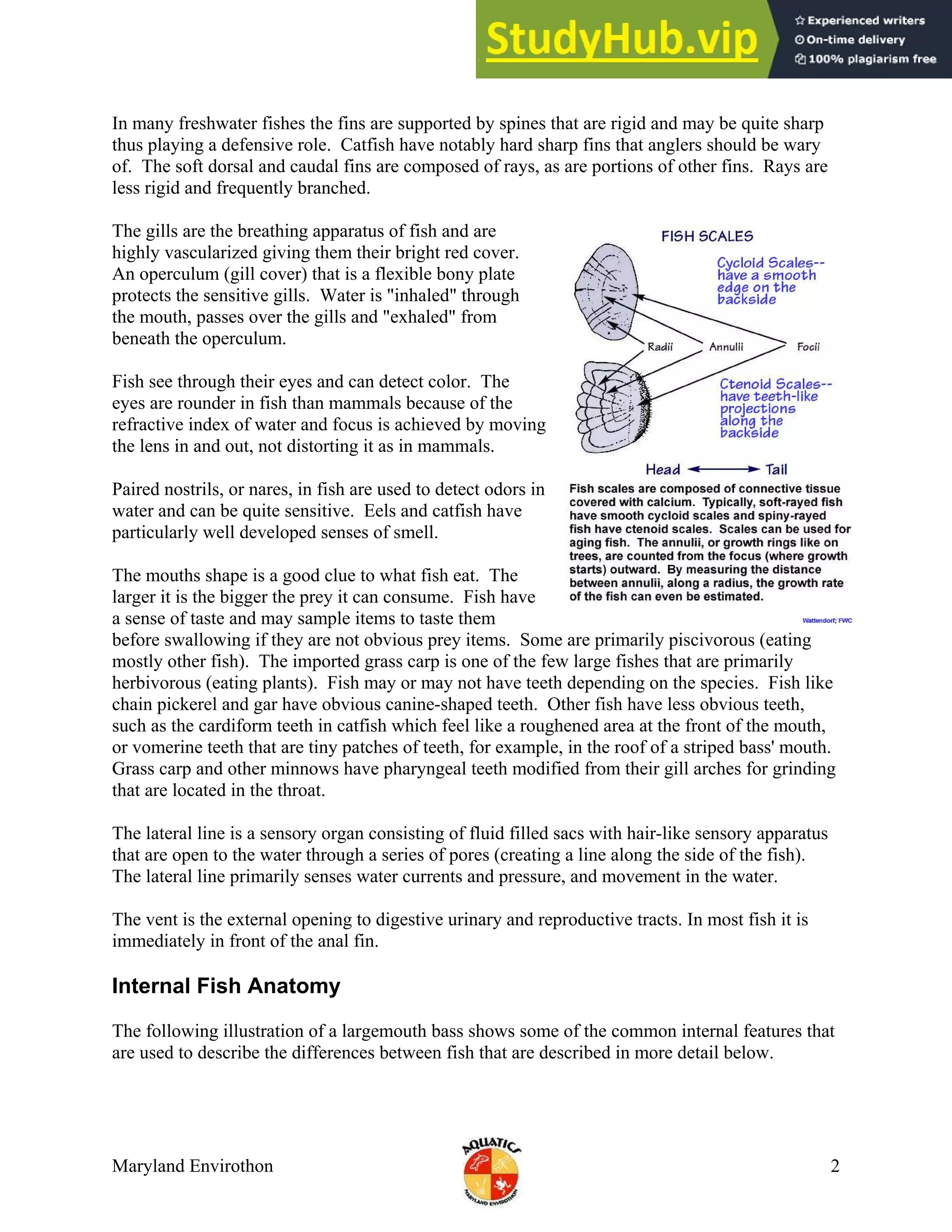 ANATOMY OF FISH | PDF