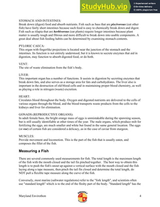 ANATOMY OF FISH | PDF