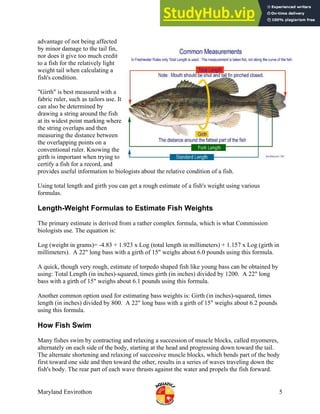 ANATOMY OF FISH | PDF