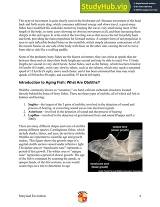 ANATOMY OF FISH | PDF