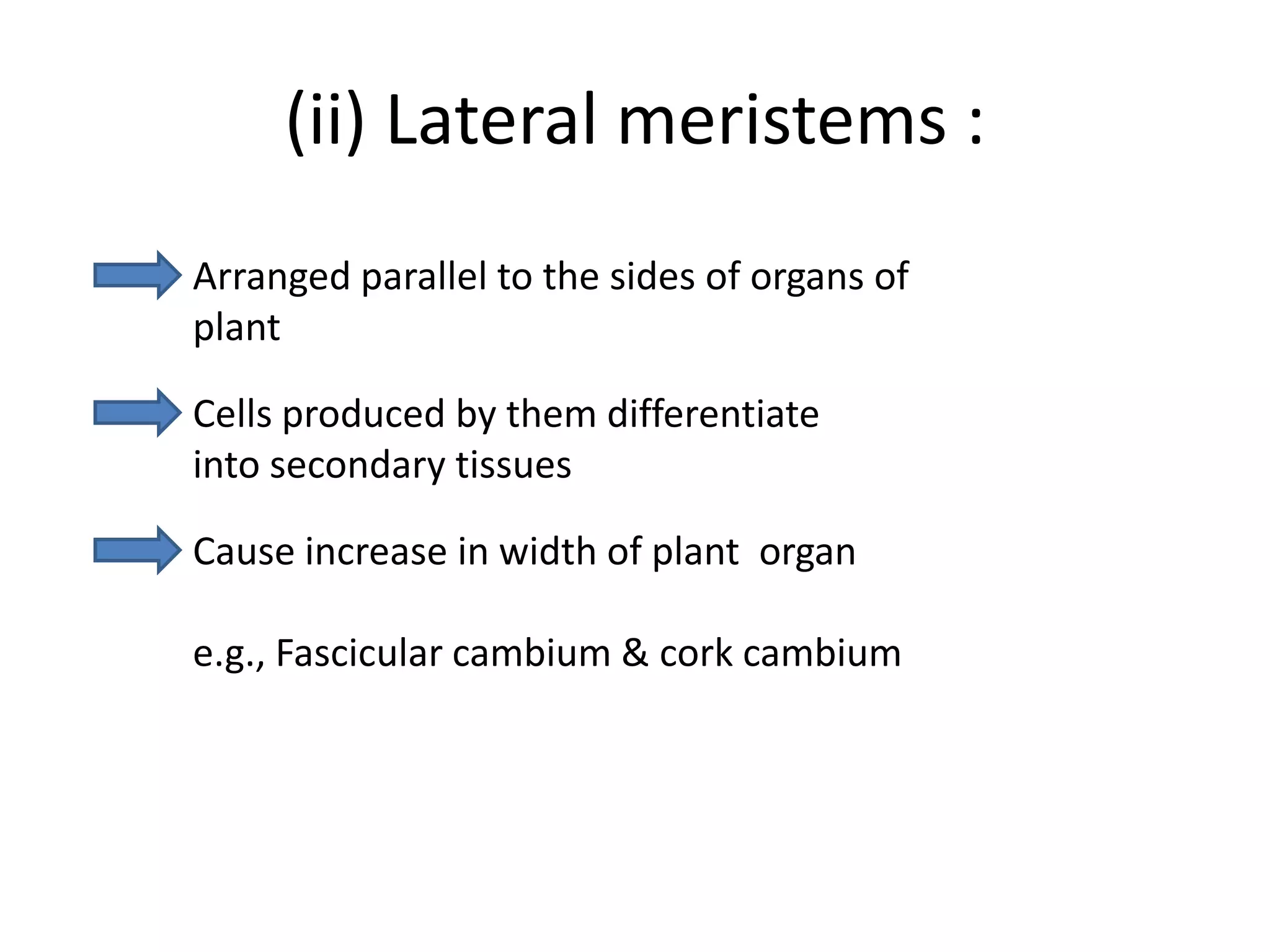 Anatomy of flowering plants | PPTX