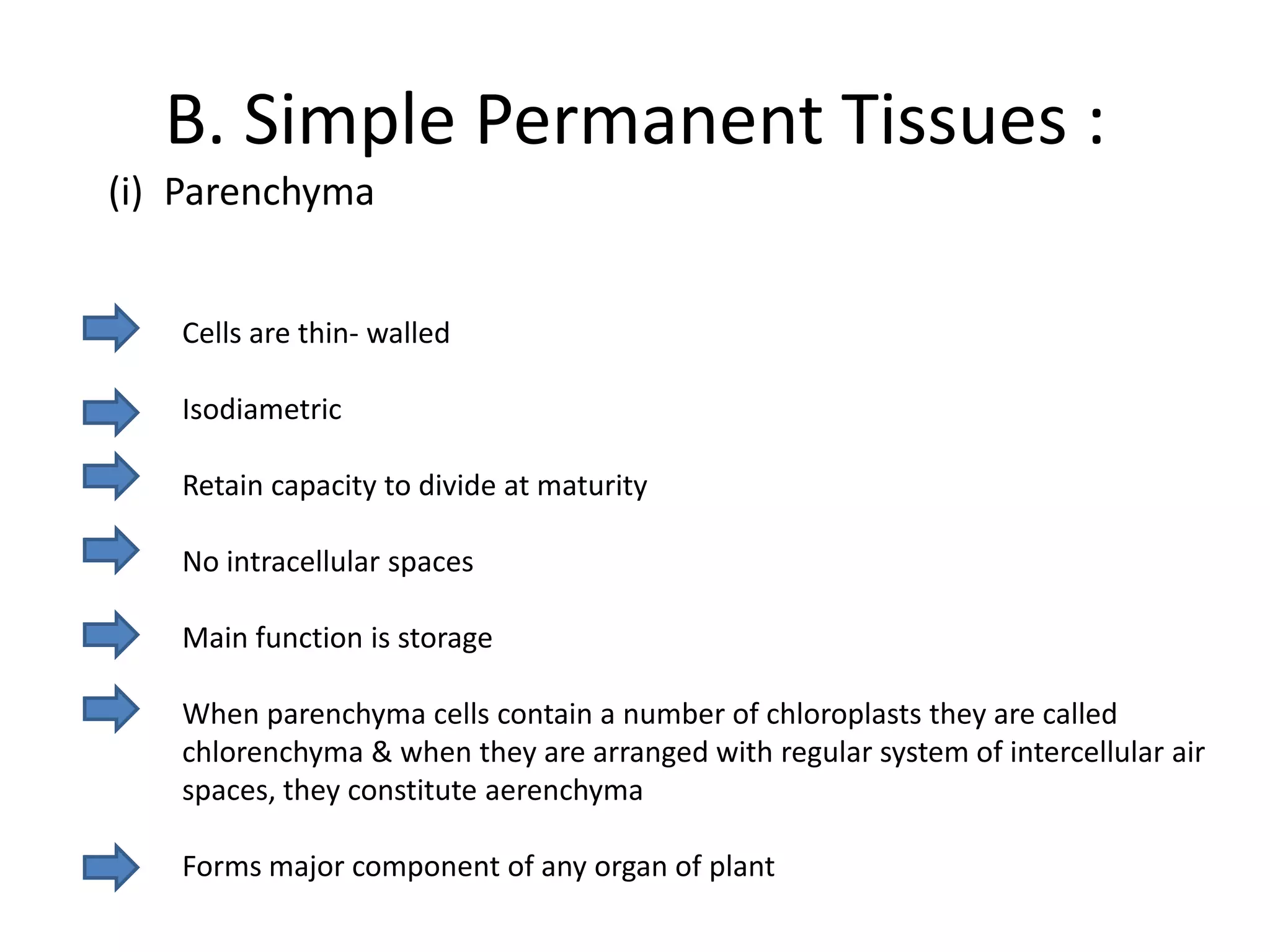 Anatomy of flowering plants | PPTX