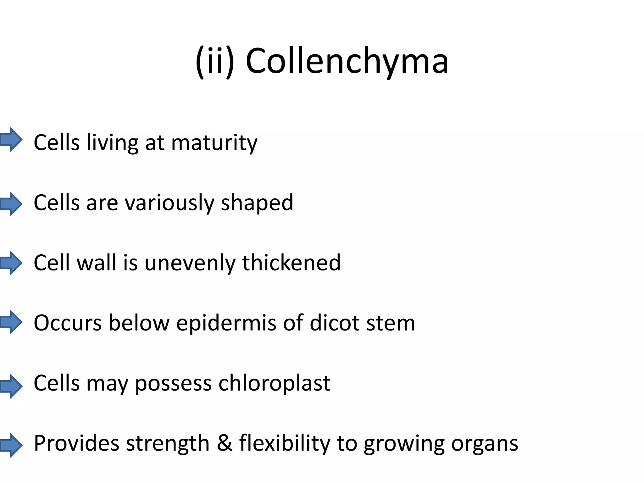 Anatomy of flowering plants | PPTX