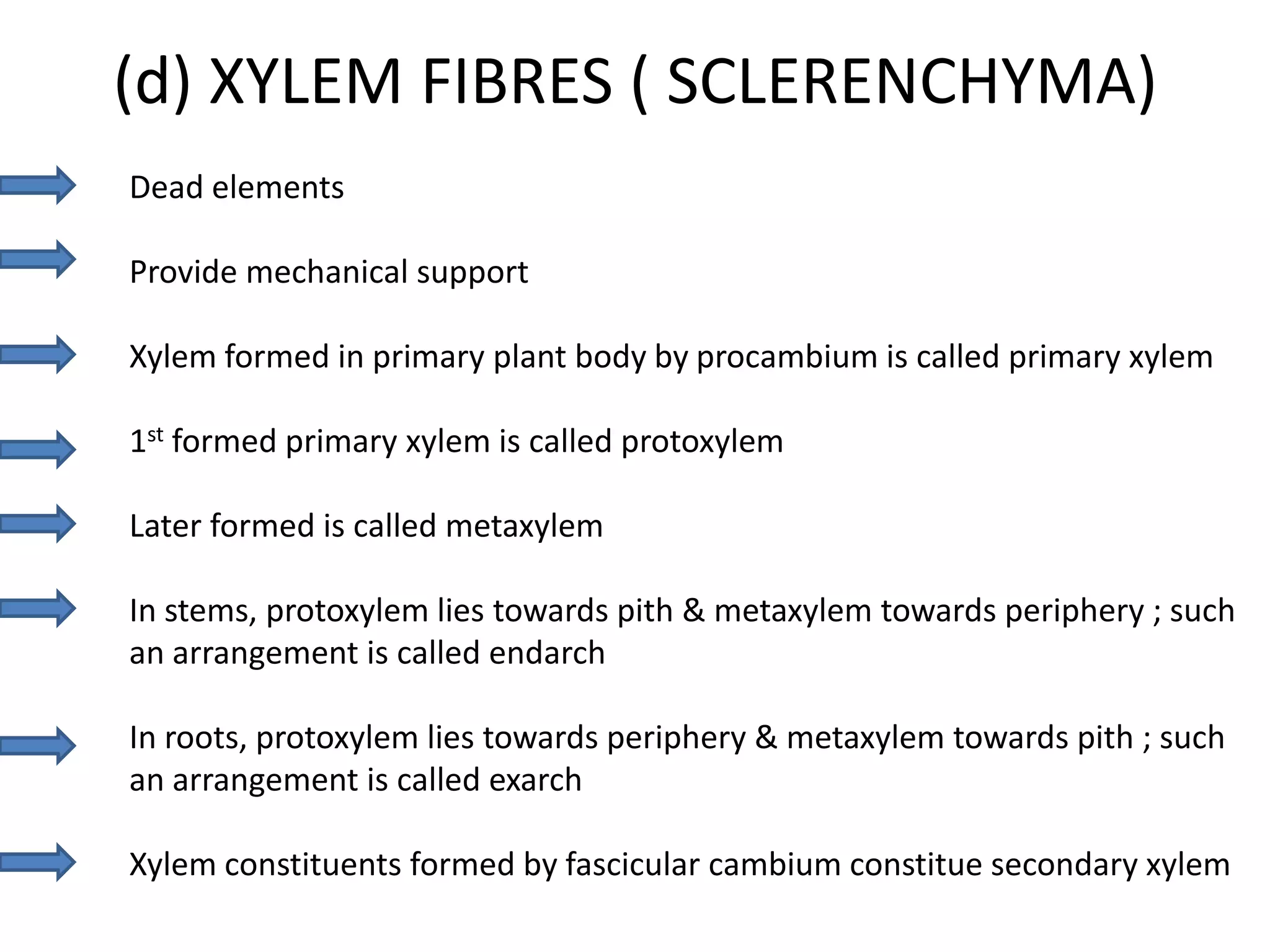Anatomy of flowering plants | PPTX