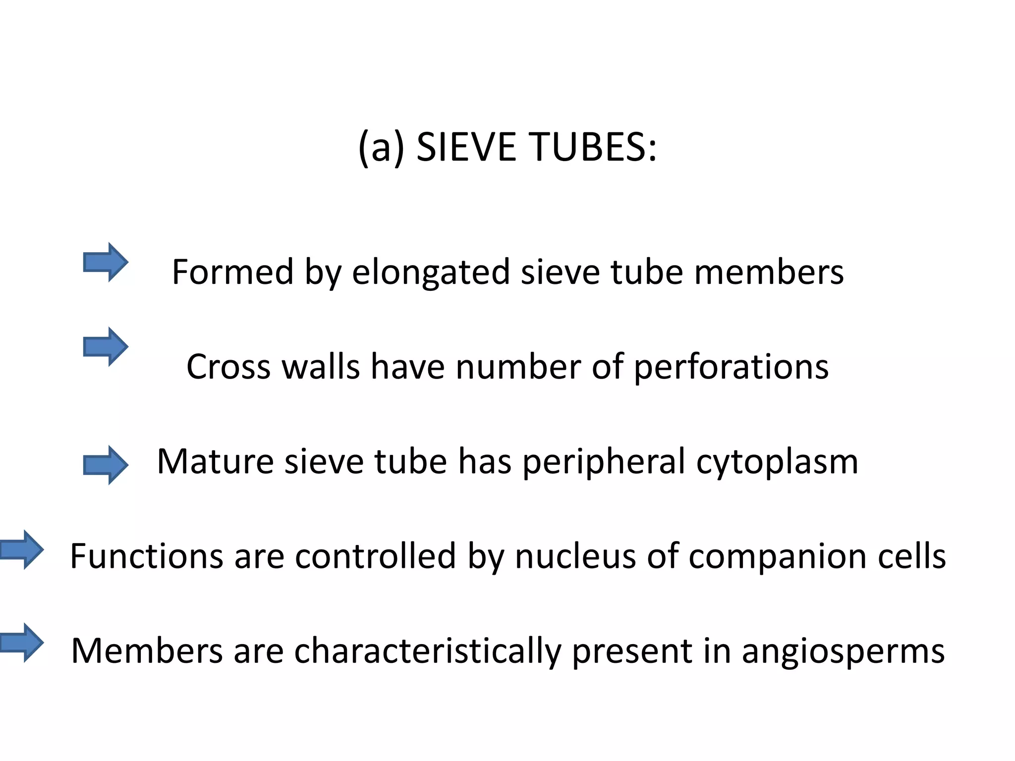Anatomy of flowering plants | PPTX