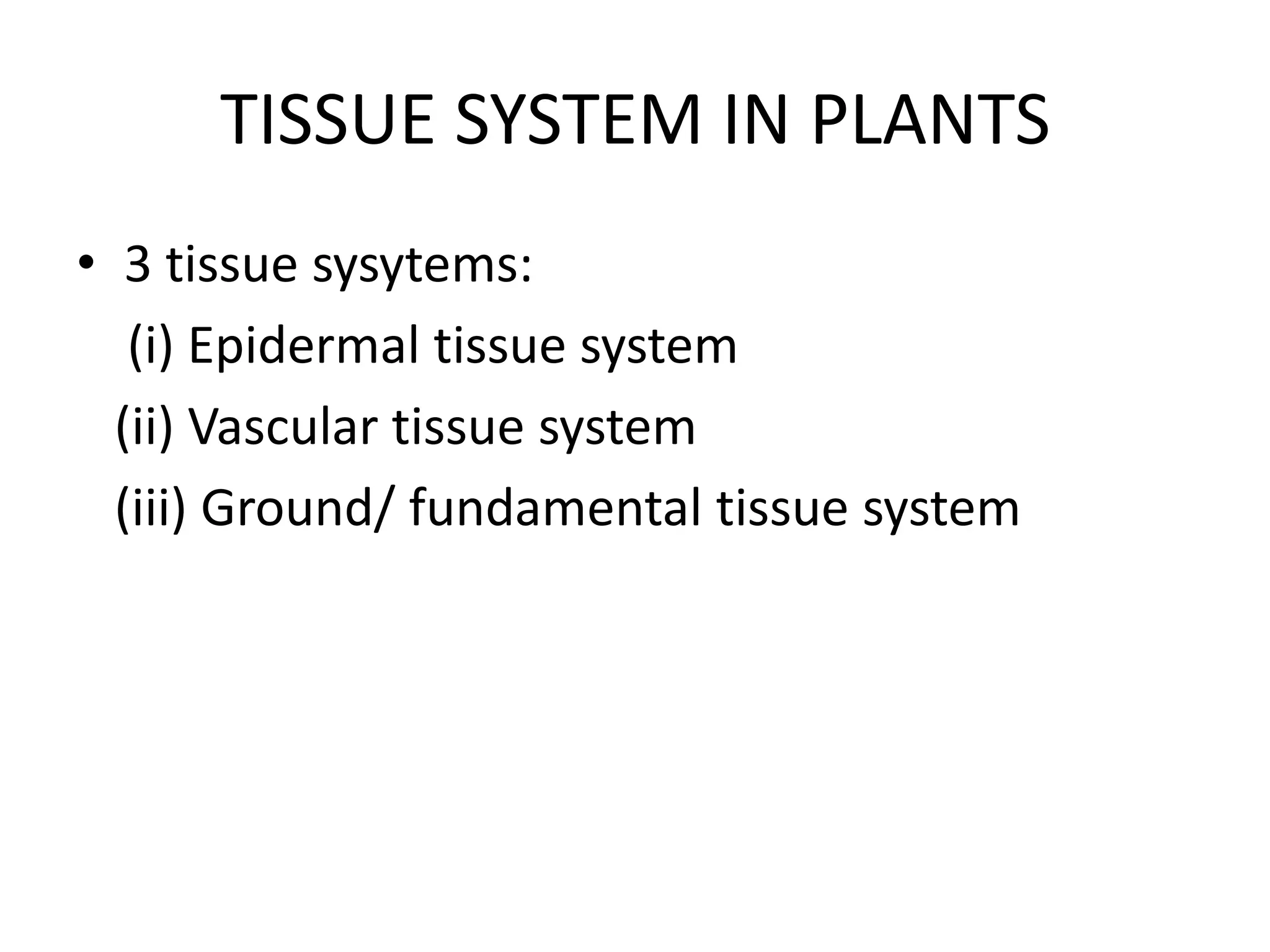 Anatomy of flowering plants | PPTX
