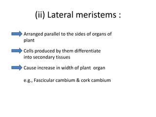 Anatomy of flowering plants | PPTX