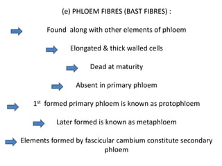 Anatomy of flowering plants | PPTX