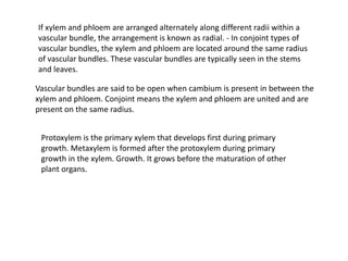 anatomy of flowering plants anatomy of flowering plants | PPTX