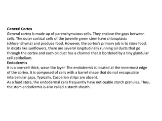 anatomy of flowering plants anatomy of flowering plants | PPTX