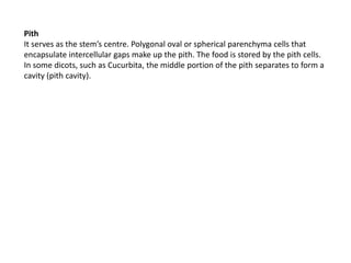 anatomy of flowering plants anatomy of flowering plants | PPT