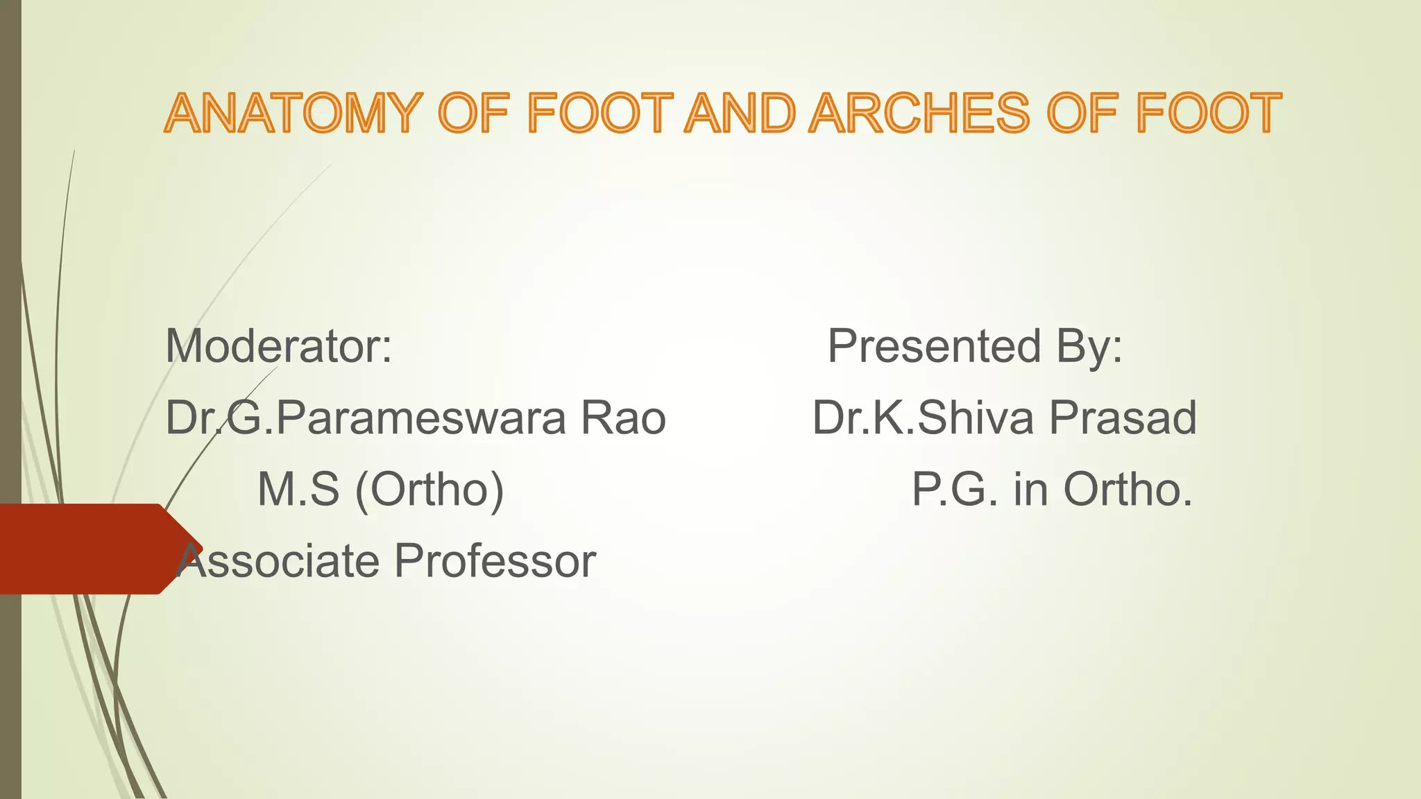Anatomy of foot and arches of foot | PPTX