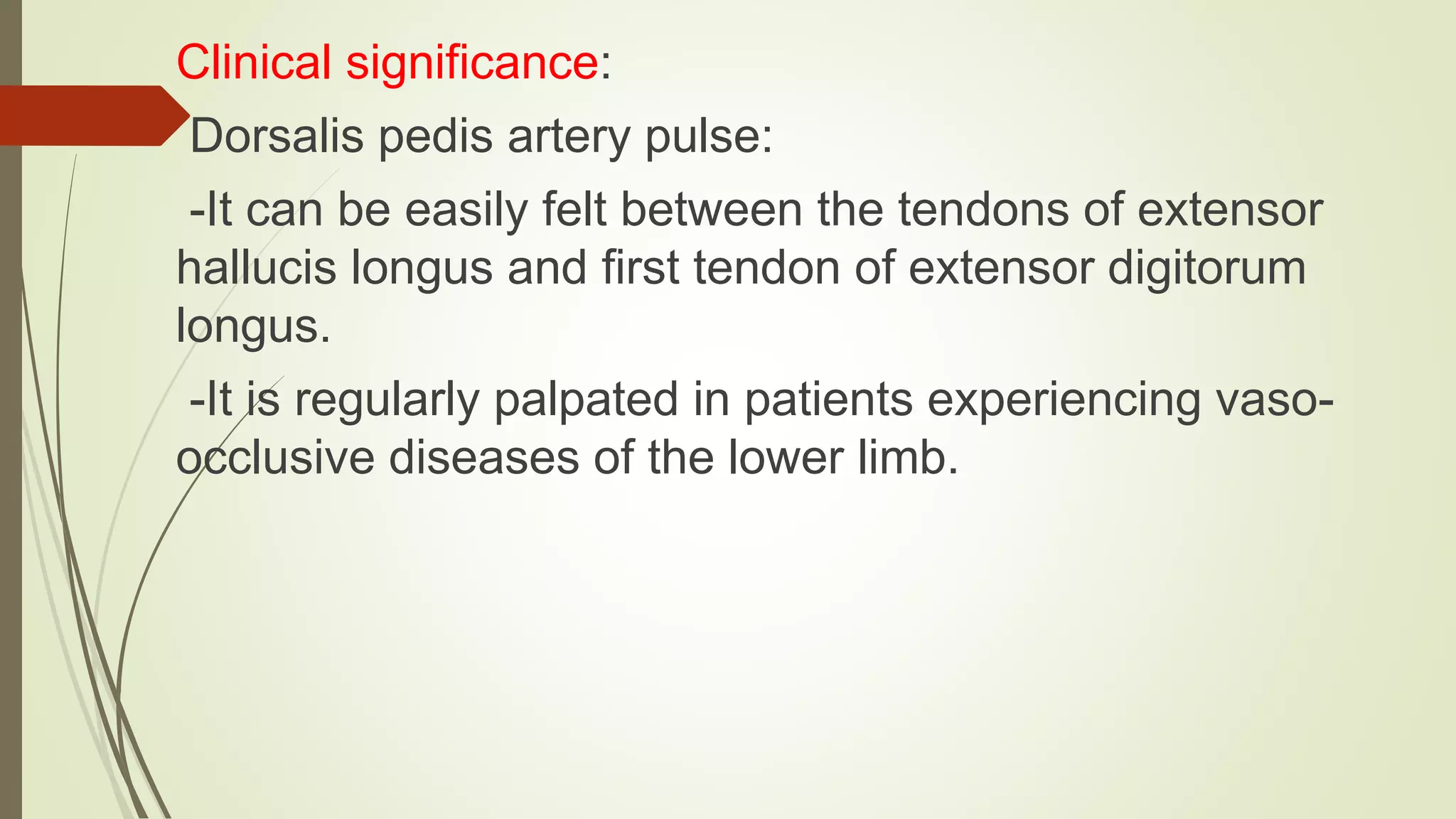 Anatomy of foot and arches of foot | PPTX
