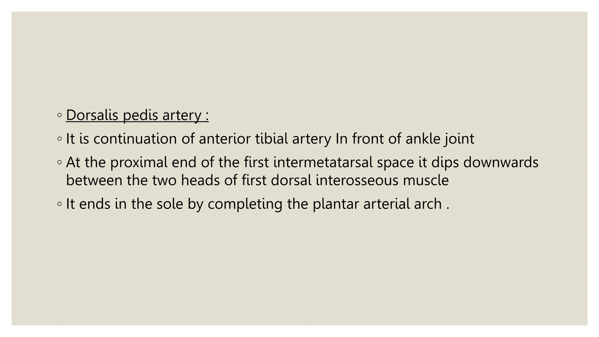 anatomy of foot.pptx anatomy anatomy anr | PPTX