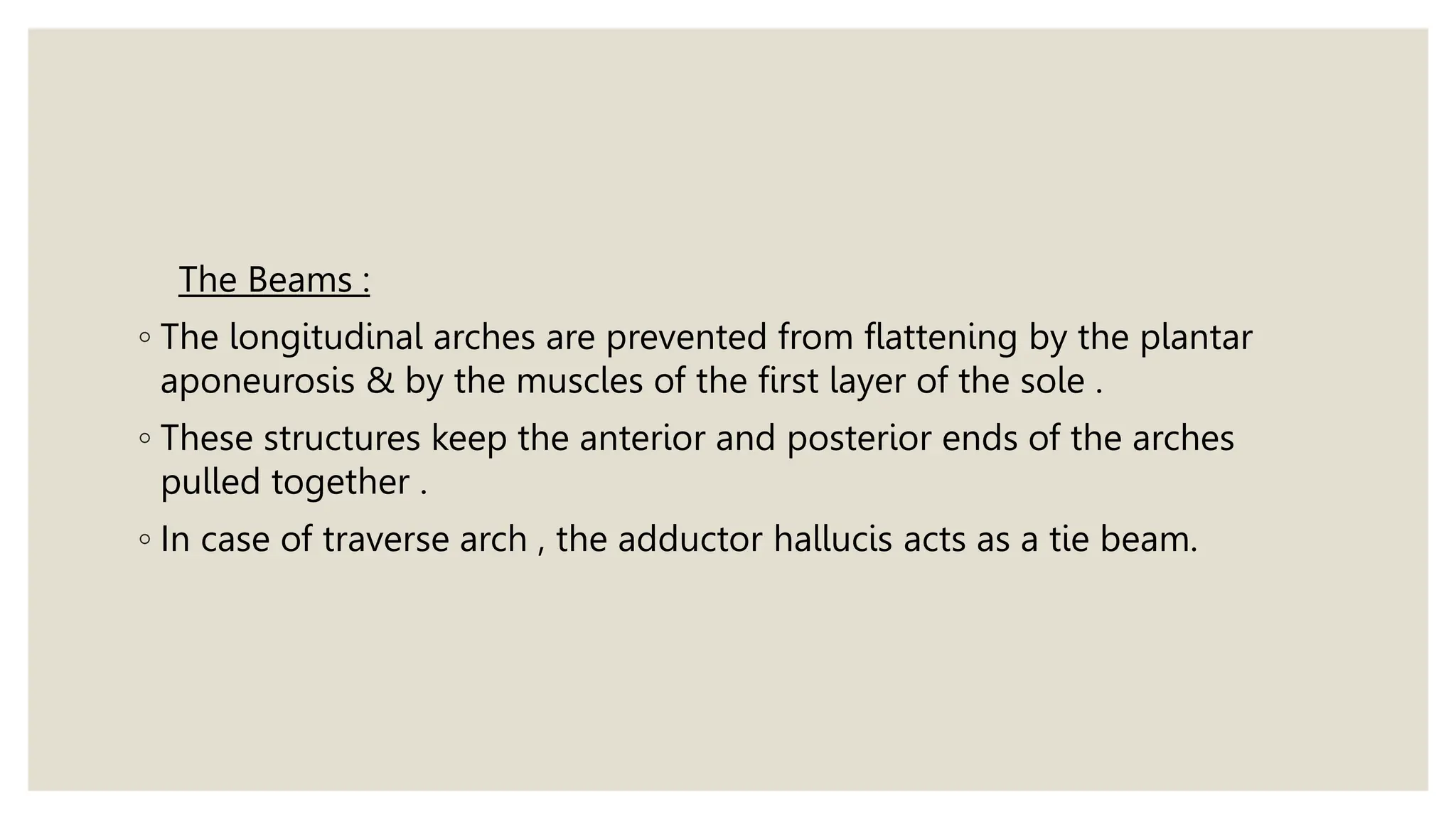 anatomy of foot.pptx anatomy anatomy anr | PPTX