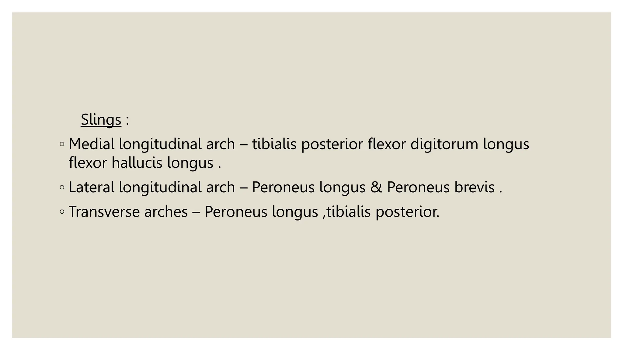 anatomy of foot.pptx anatomy anatomy anr | PPTX