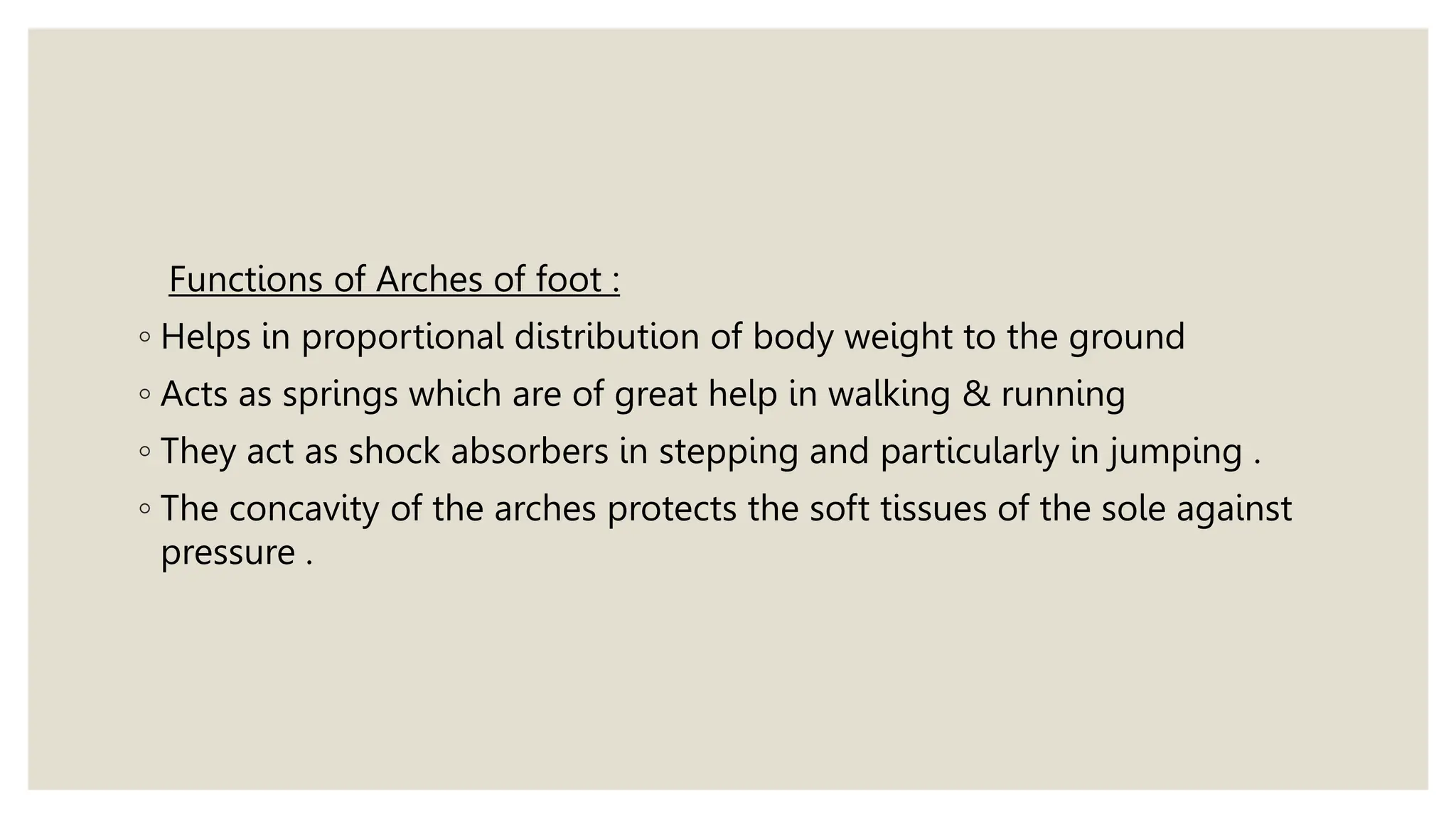 anatomy of foot.pptx anatomy anatomy anr | PPTX