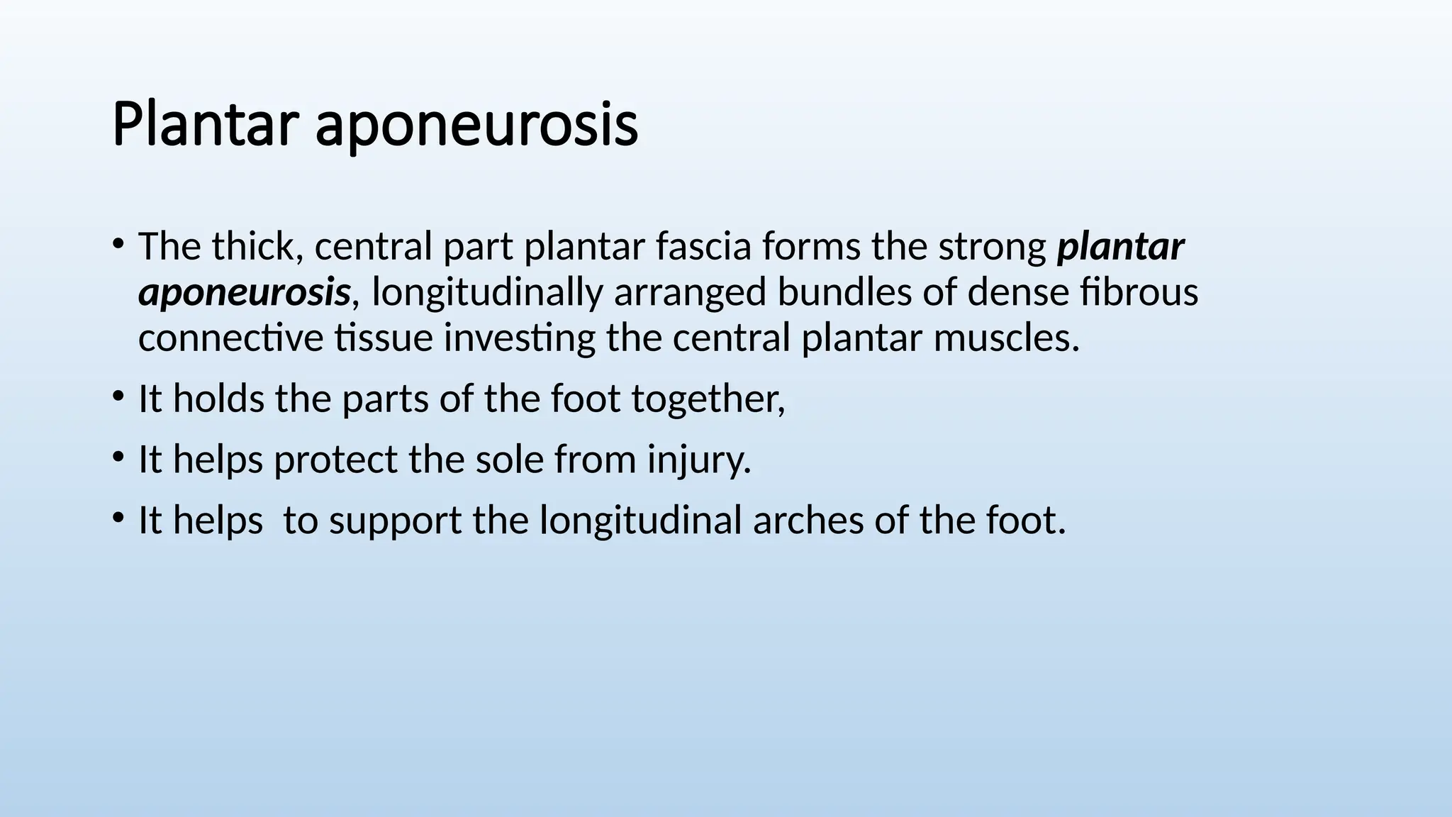 the gross Anatomy of foot including blood supply.pptx