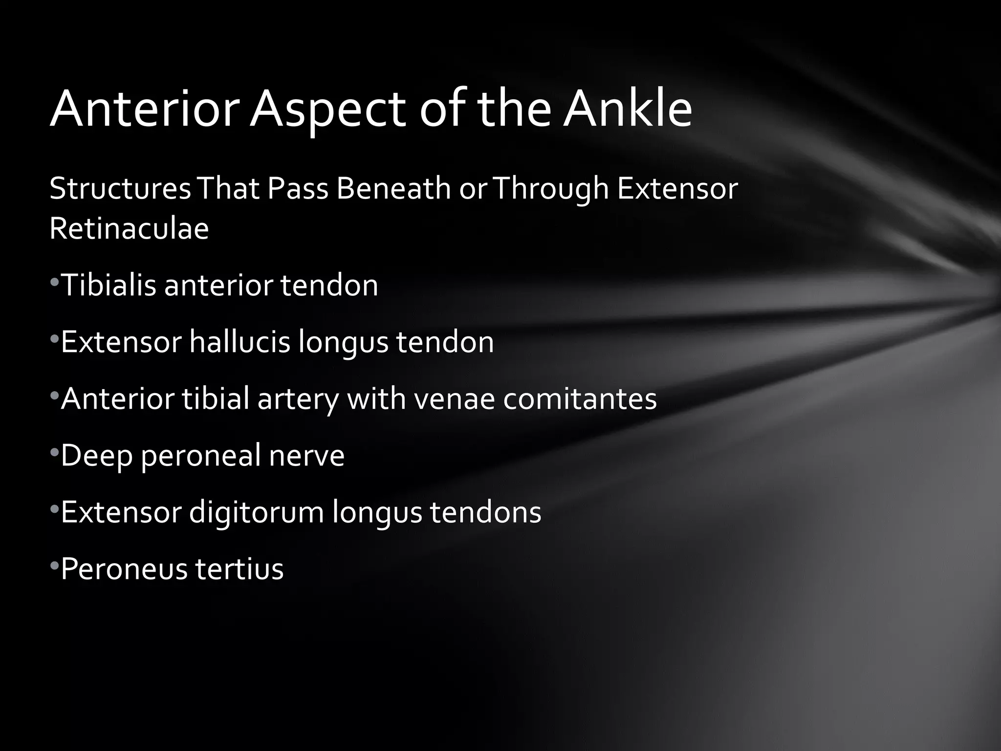 Anatomy of foot and ankle | PPT