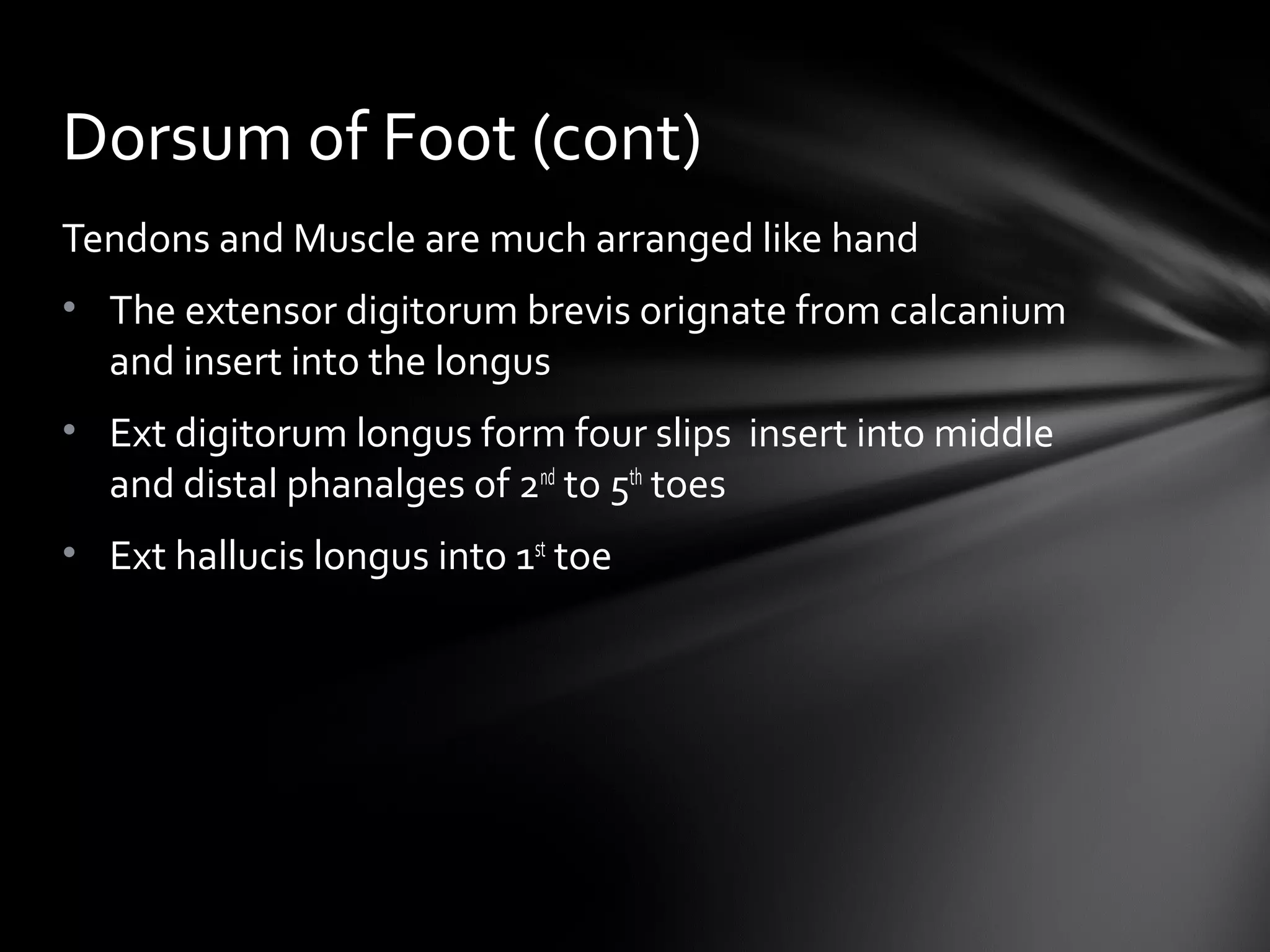 Anatomy of foot and ankle | PPT